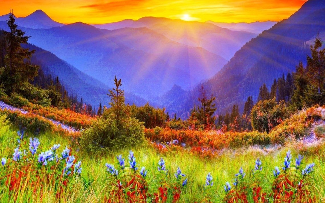 Beautiful Fall Sunrise Wallpapers - 4k, HD Beautiful Fall Sunrise ... Beautiful Fall Sunrise Wallpapers - 4k, HD Beautiful Fall Sunrise ...