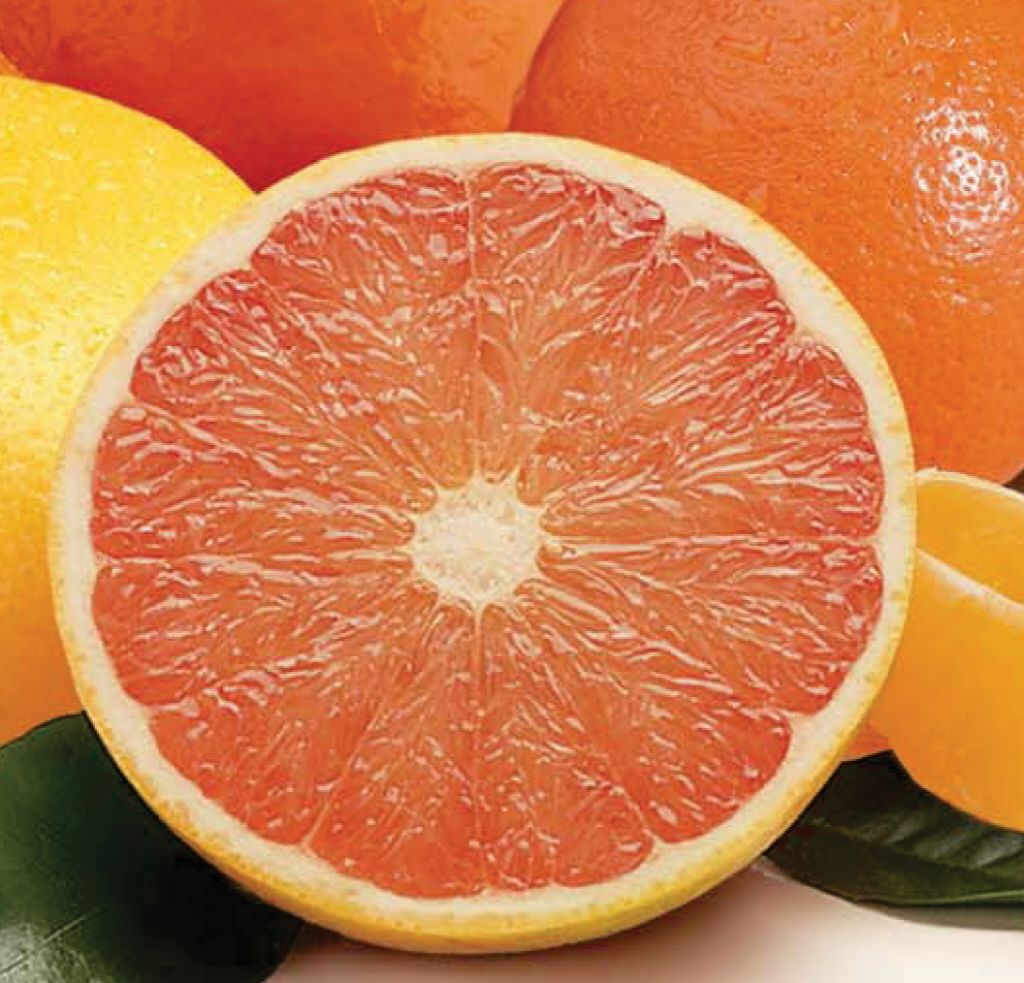 Grapefruit Wallpapers - 4k, HD Grapefruit Backgrounds on WallpaperBat Grapefruit Wallpapers - 4k, HD Grapefruit Backgrounds on WallpaperBat