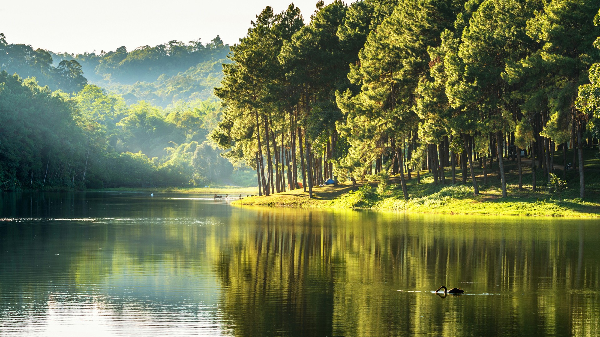 Calm Forest Wallpapers - 4k, HD Calm Forest Backgrounds on WallpaperBat Calm Forest Wallpapers - 4k, HD Calm Forest Backgrounds on WallpaperBat