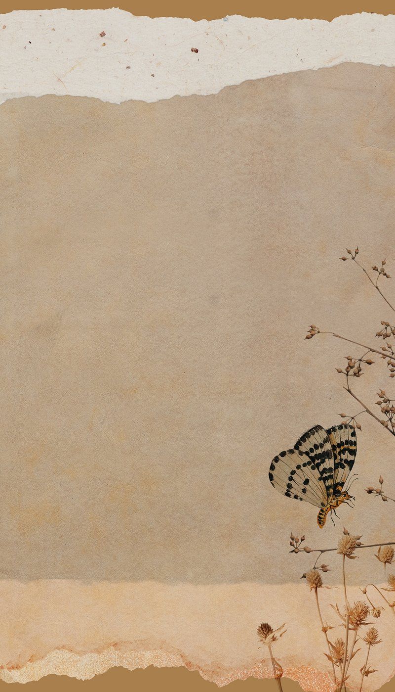 Vintage Paper Wallpapers - 4k, Hd Vintage Paper Backgrounds On Wallpaperbat
