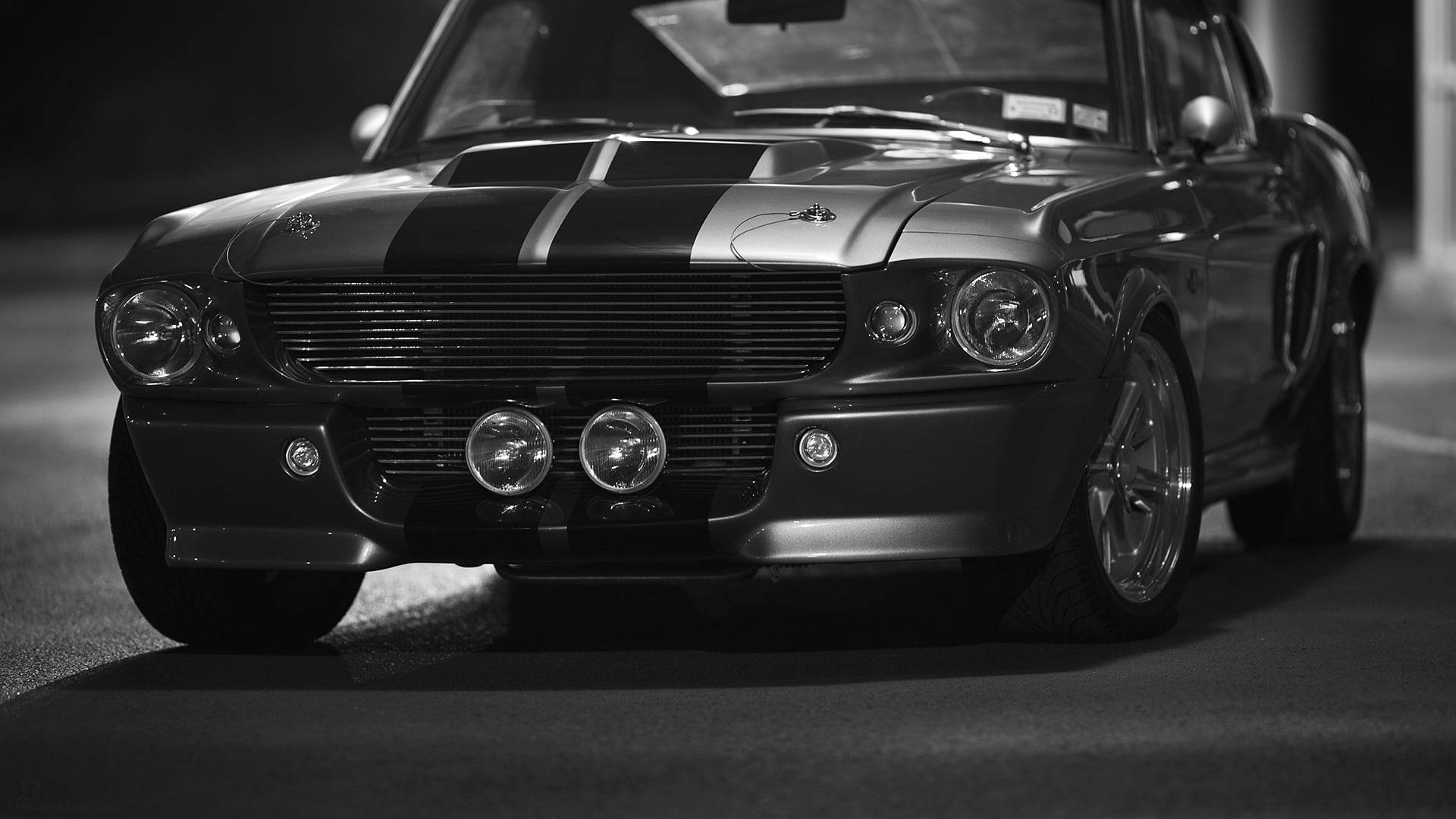 Black Mustang Wallpapers 4k Hd Black Mustang Backgrounds On Wallpaperbat
