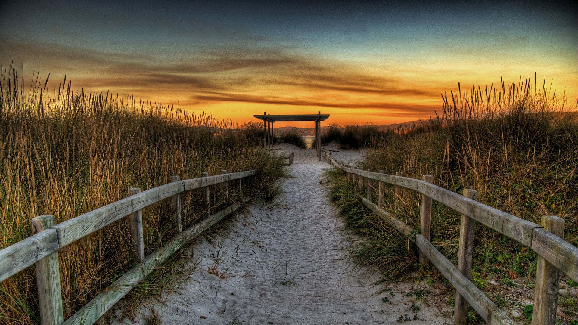 Beach Grass Sunset Wallpapers 4k Hd Beach Grass Sunset Backgrounds