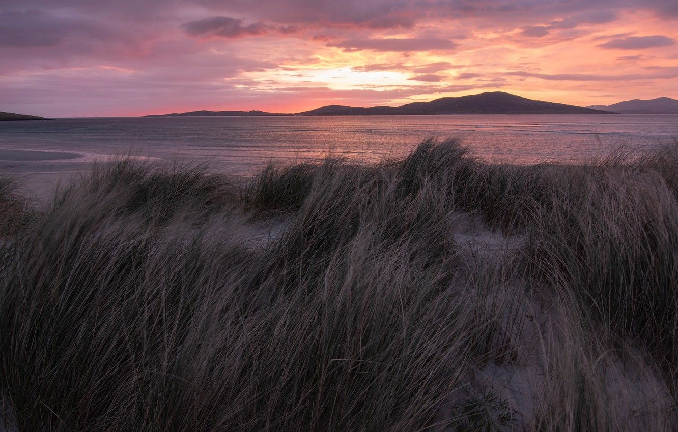Beach Grass Sunset Wallpapers 4k Hd Beach Grass Sunset Backgrounds