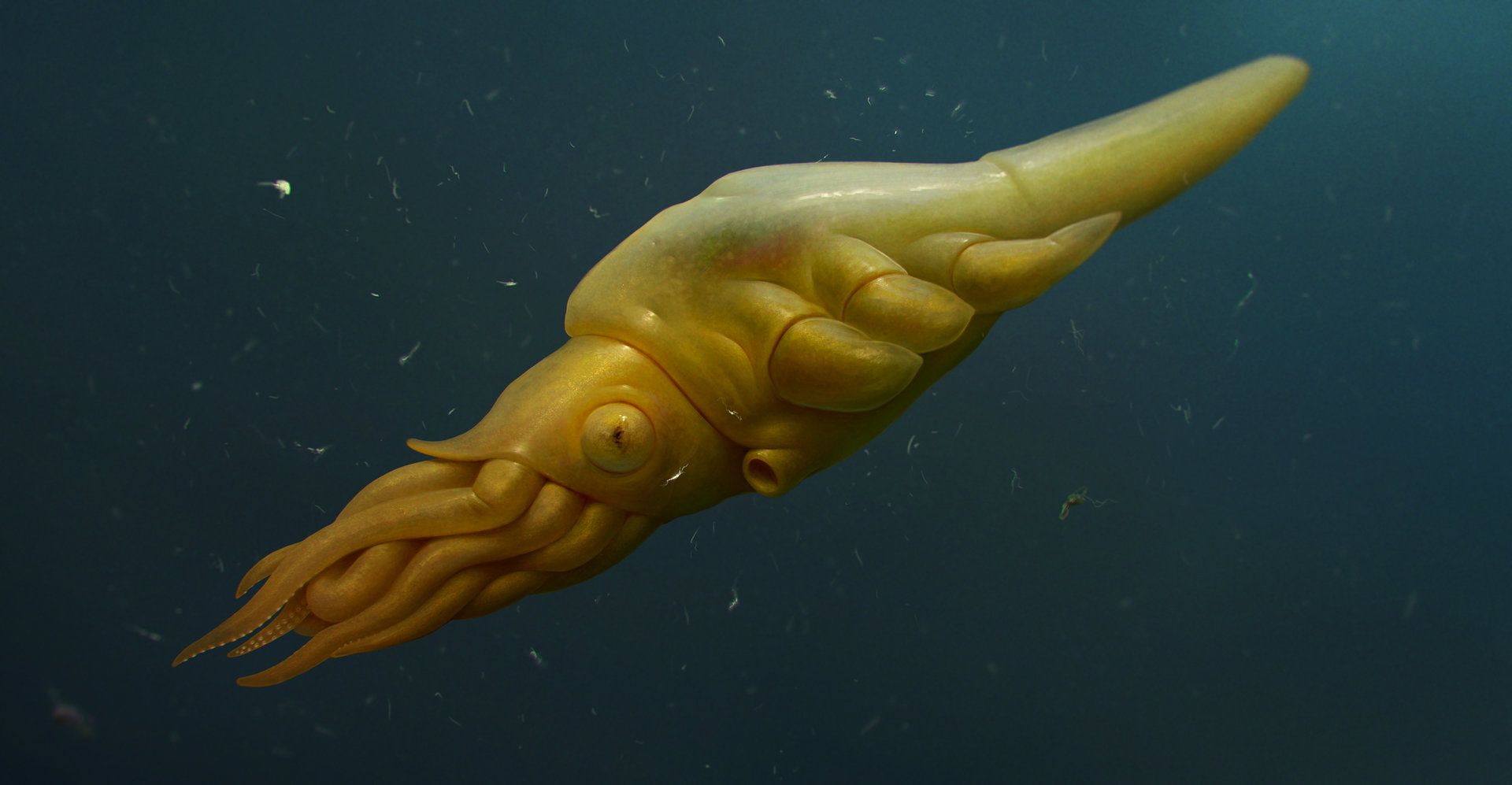 Squid Wallpapers 4k Hd Squid Backgrounds On Wallpaperbat
