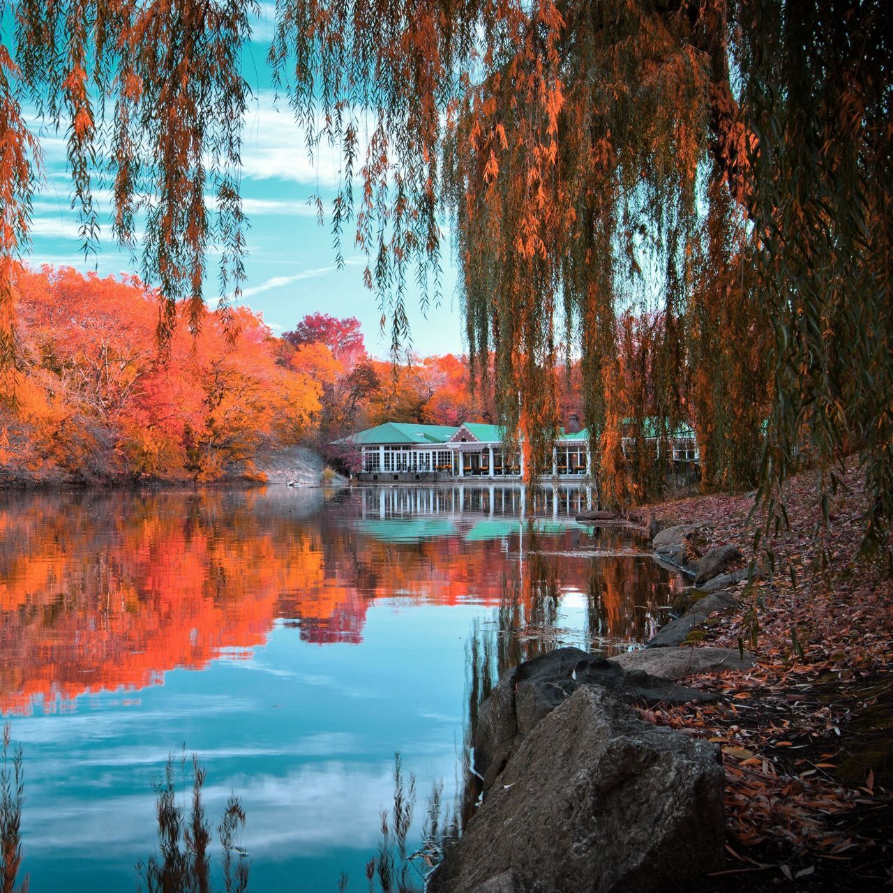 Central Park Fall Wallpapers - 4k, HD Central Park Fall Backgrounds on ... Central Park Fall Wallpapers - 4k, HD Central Park Fall Backgrounds on ...