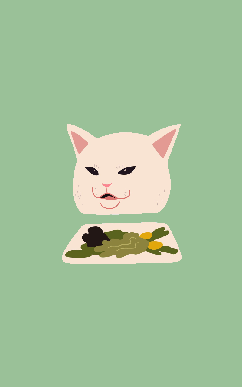 Cat Meme Wallpapers 4k Hd Cat Meme Backgrounds On Wallpaperbat