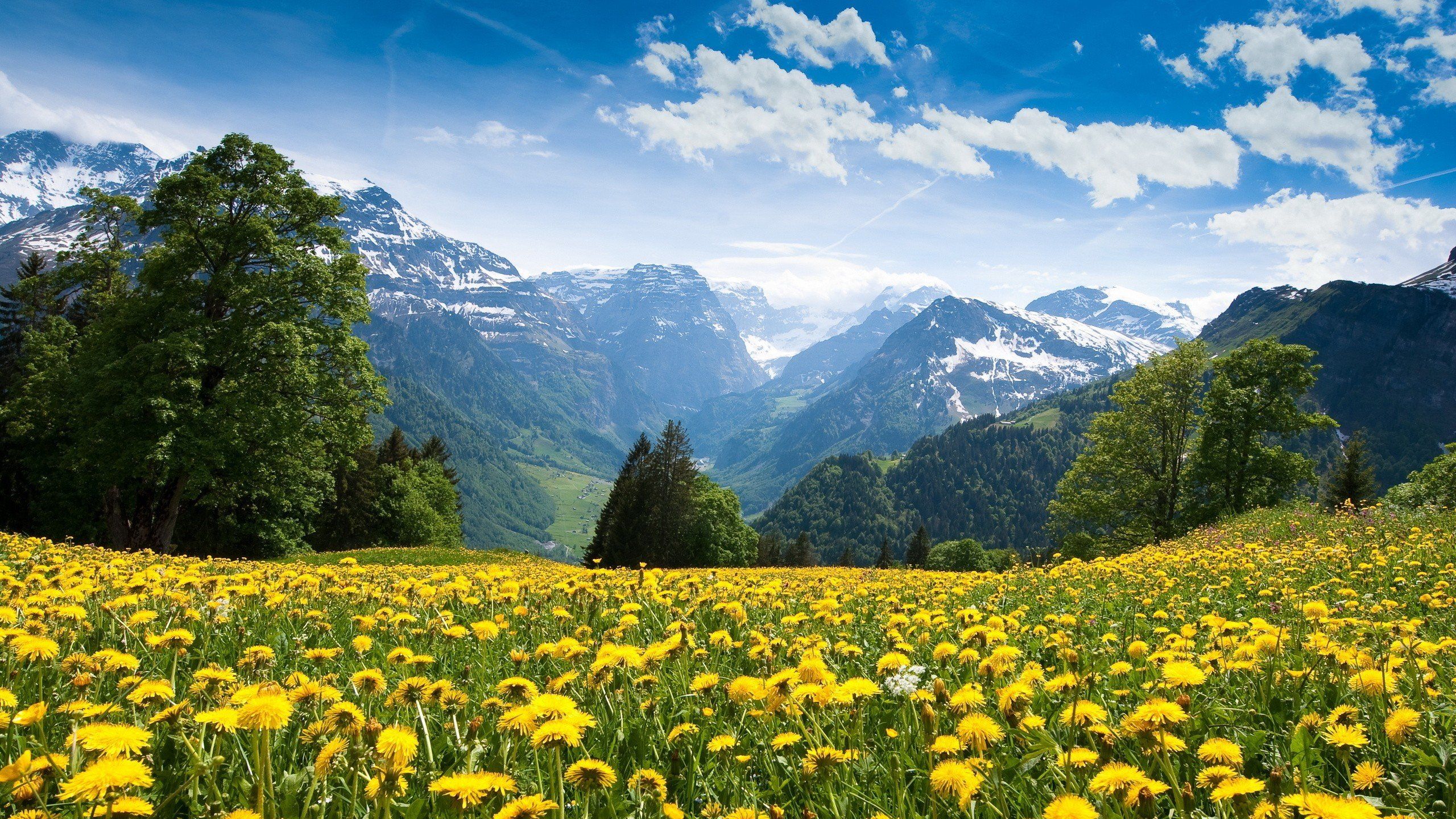 Spring Landscape Wallpapers - 4k, HD Spring Landscape Backgrounds on ... Spring Landscape Wallpapers - 4k, HD Spring Landscape Backgrounds on ...