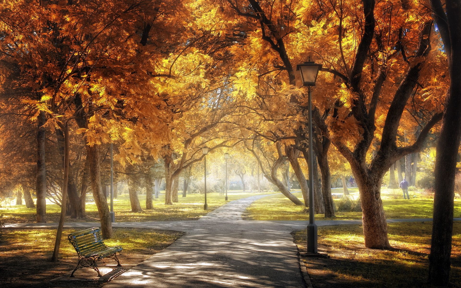 Central Park Fall Wallpapers - 4k, HD Central Park Fall Backgrounds on ... Central Park Fall Wallpapers - 4k, HD Central Park Fall Backgrounds on ...