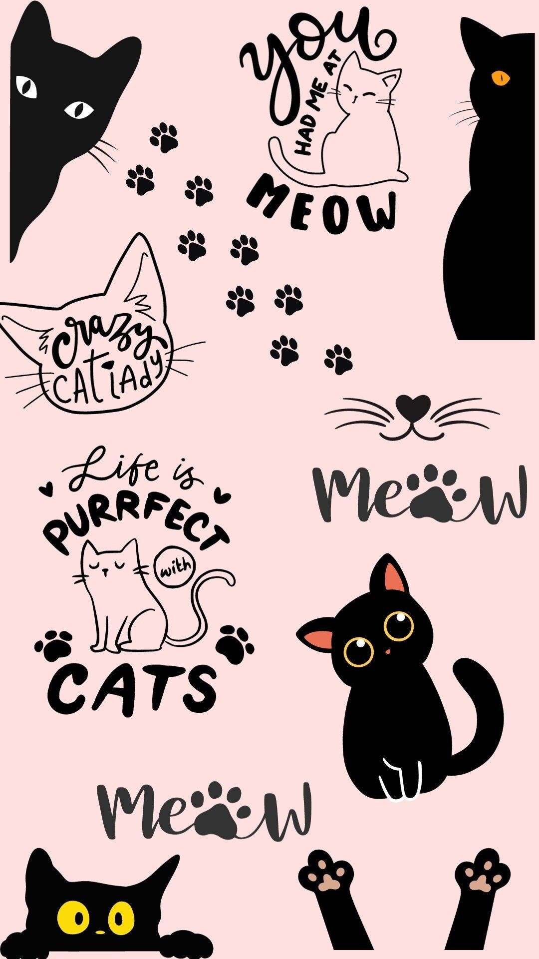 Cute Black Cat Wallpapers - 4k, HD Cute Black Cat Backgrounds on ... Cute Black Cat Wallpapers - 4k, HD Cute Black Cat Backgrounds on ...