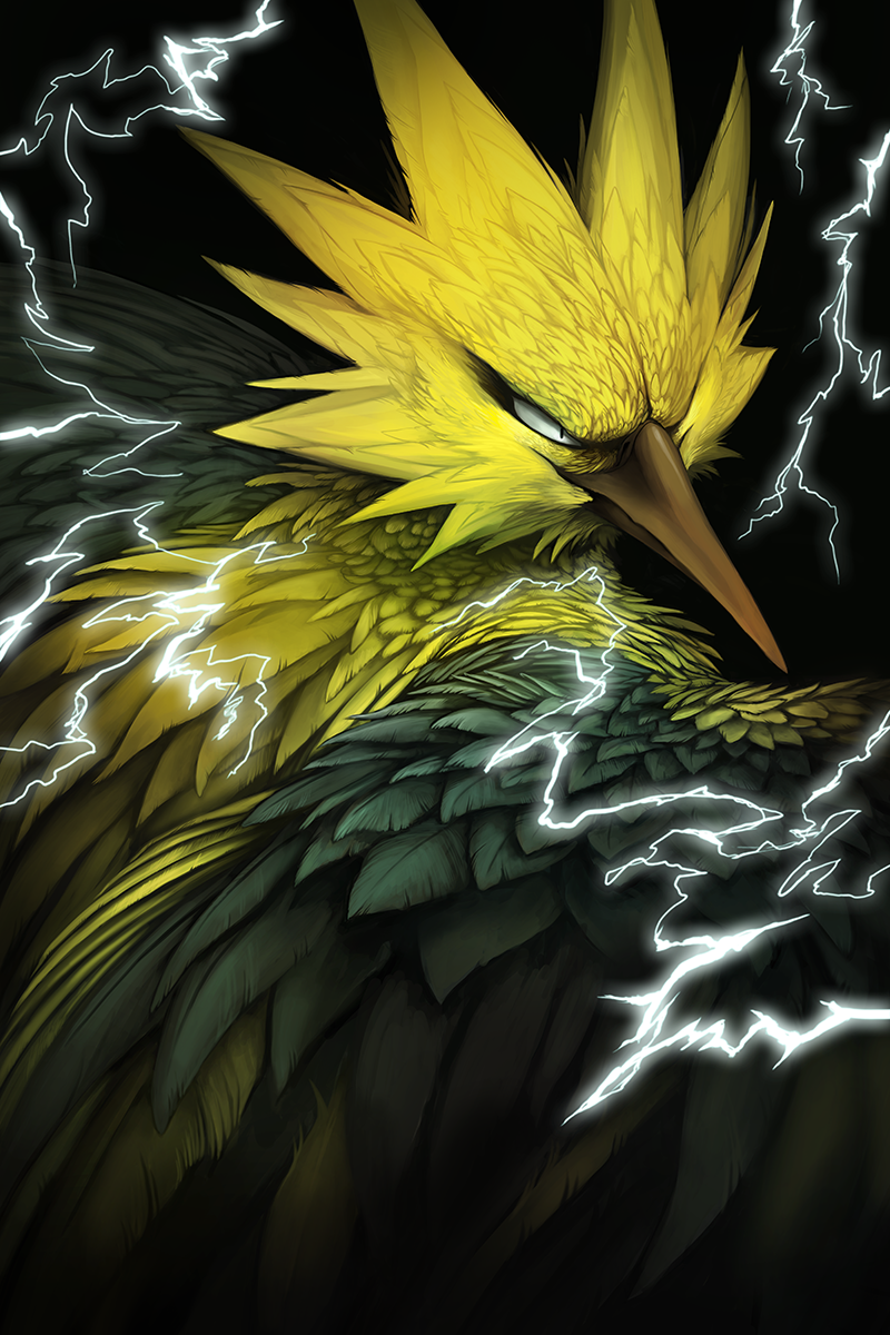 Zapdos Wallpapers - 4k, HD Zapdos Backgrounds on WallpaperBat Zapdos Wallpapers - 4k, HD Zapdos Backgrounds on WallpaperBat