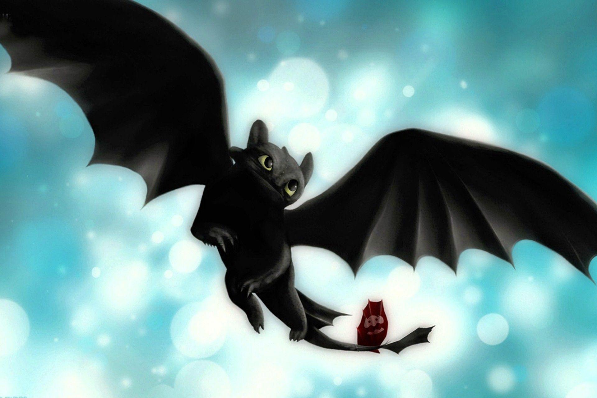 Cute Toothless Wallpapers - 4k, HD Cute Toothless Backgrounds on ... Cute Toothless Wallpapers - 4k, HD Cute Toothless Backgrounds on ...