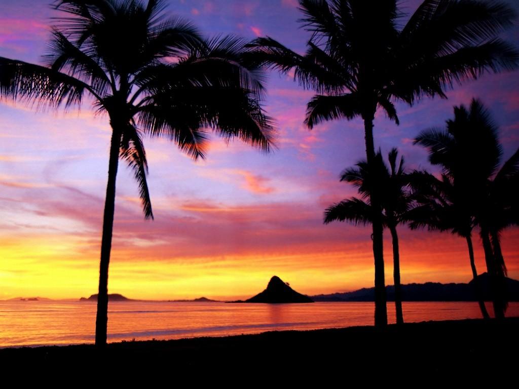 Oahu Sunset Wallpapers 4k Hd Oahu Sunset Backgrounds On Wallpaperbat