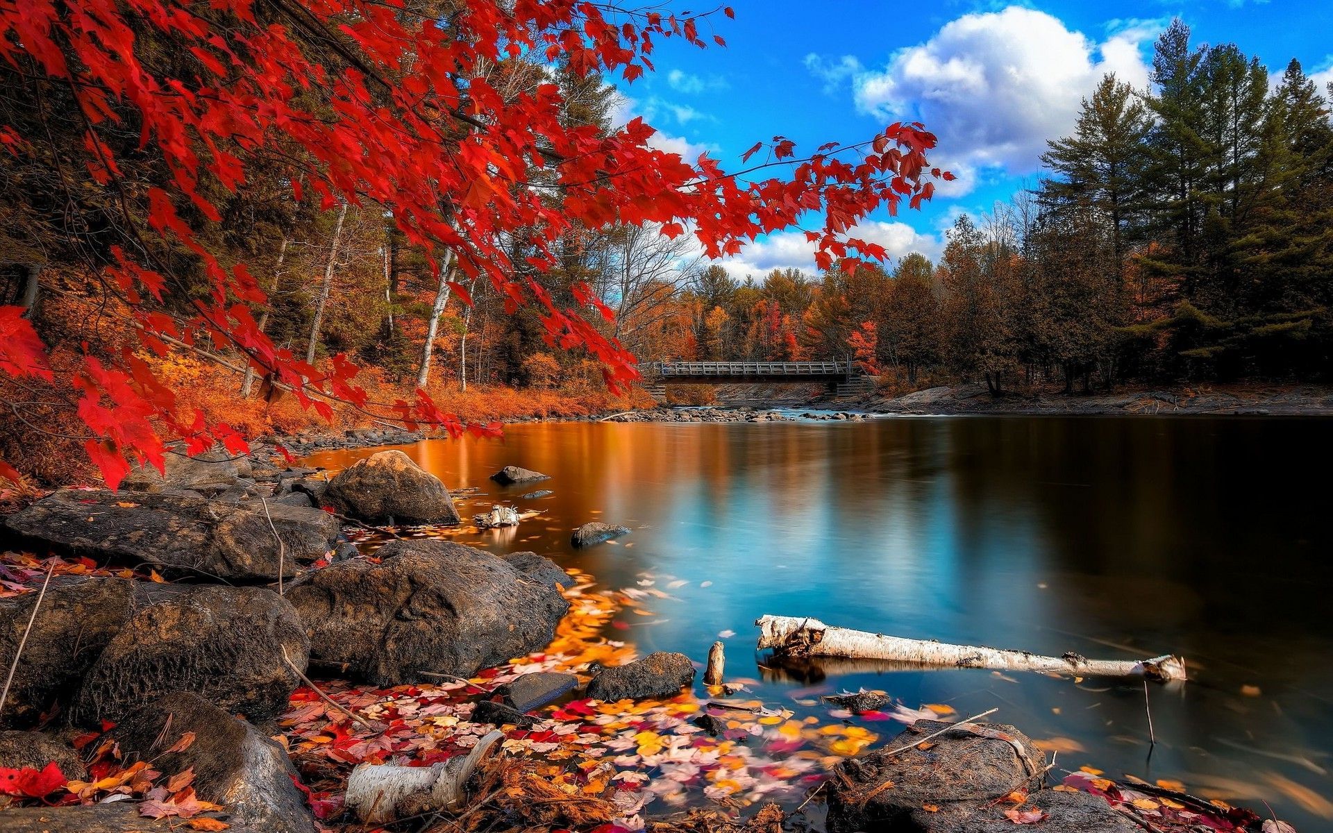 Lake Fall Nature Wallpapers - 4k, HD Lake Fall Nature Backgrounds on ... Lake Fall Nature Wallpapers - 4k, HD Lake Fall Nature Backgrounds on ...