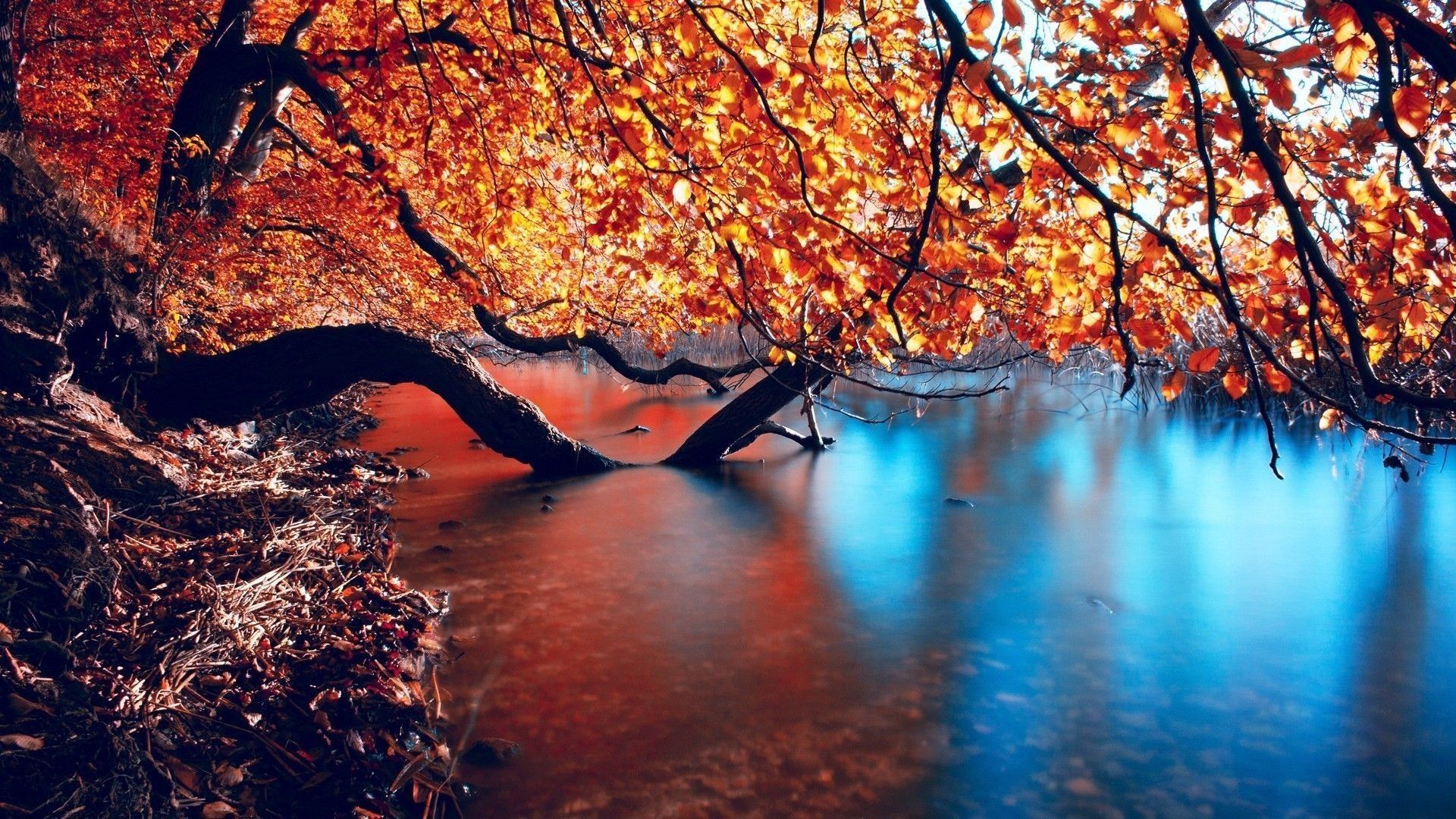 Lake Fall Nature Wallpapers - 4k, HD Lake Fall Nature Backgrounds on ... Lake Fall Nature Wallpapers - 4k, HD Lake Fall Nature Backgrounds on ...