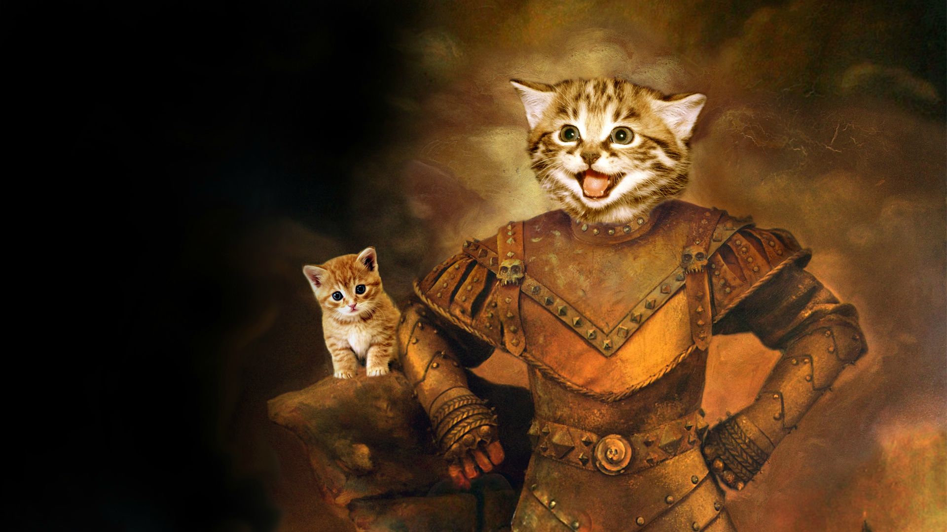 Awesome Cat Wallpapers - 4k, HD Awesome Cat Backgrounds on WallpaperBat Awesome Cat Wallpapers - 4k, HD Awesome Cat Backgrounds on WallpaperBat