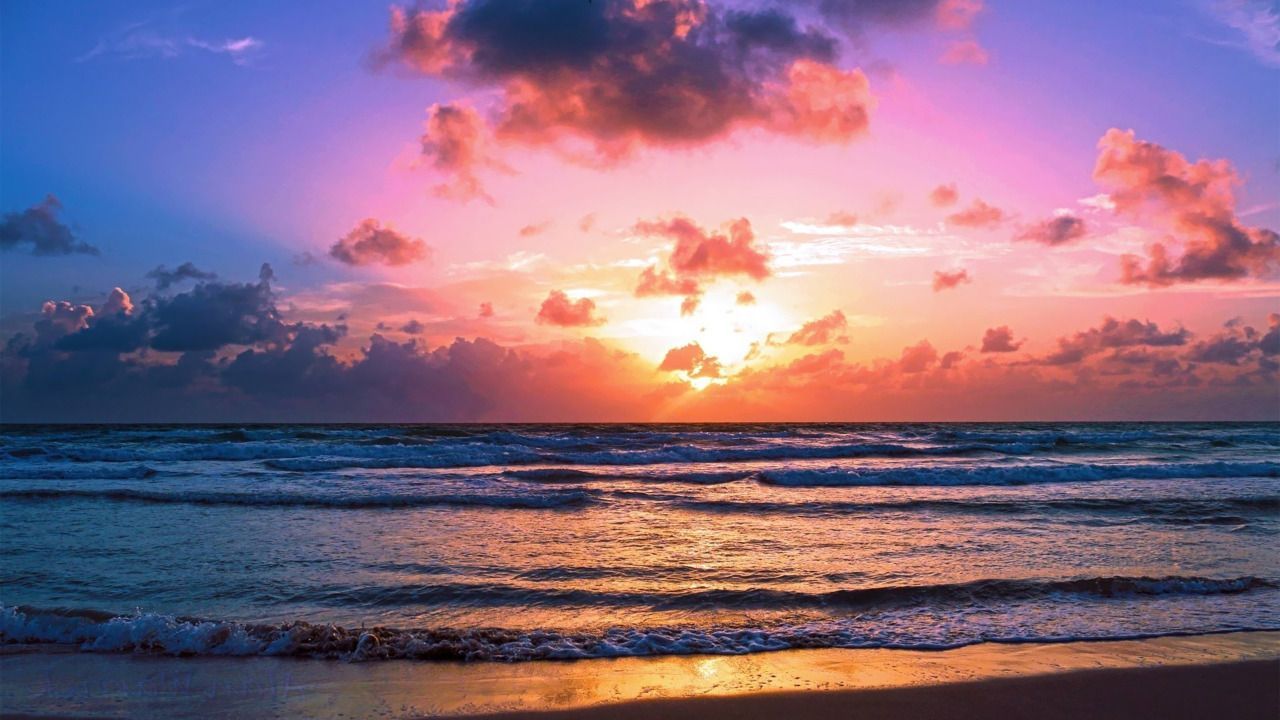 Florida Sunset Wallpapers 4k Hd Florida Sunset Backgrounds On