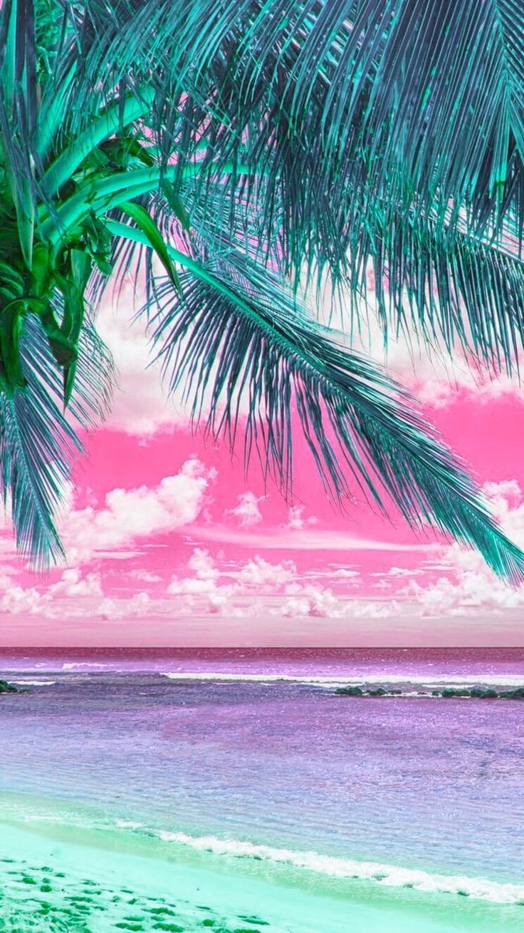 Cute Beach Wallpapers 4k Hd Cute Beach Backgrounds On Wallpaperbat