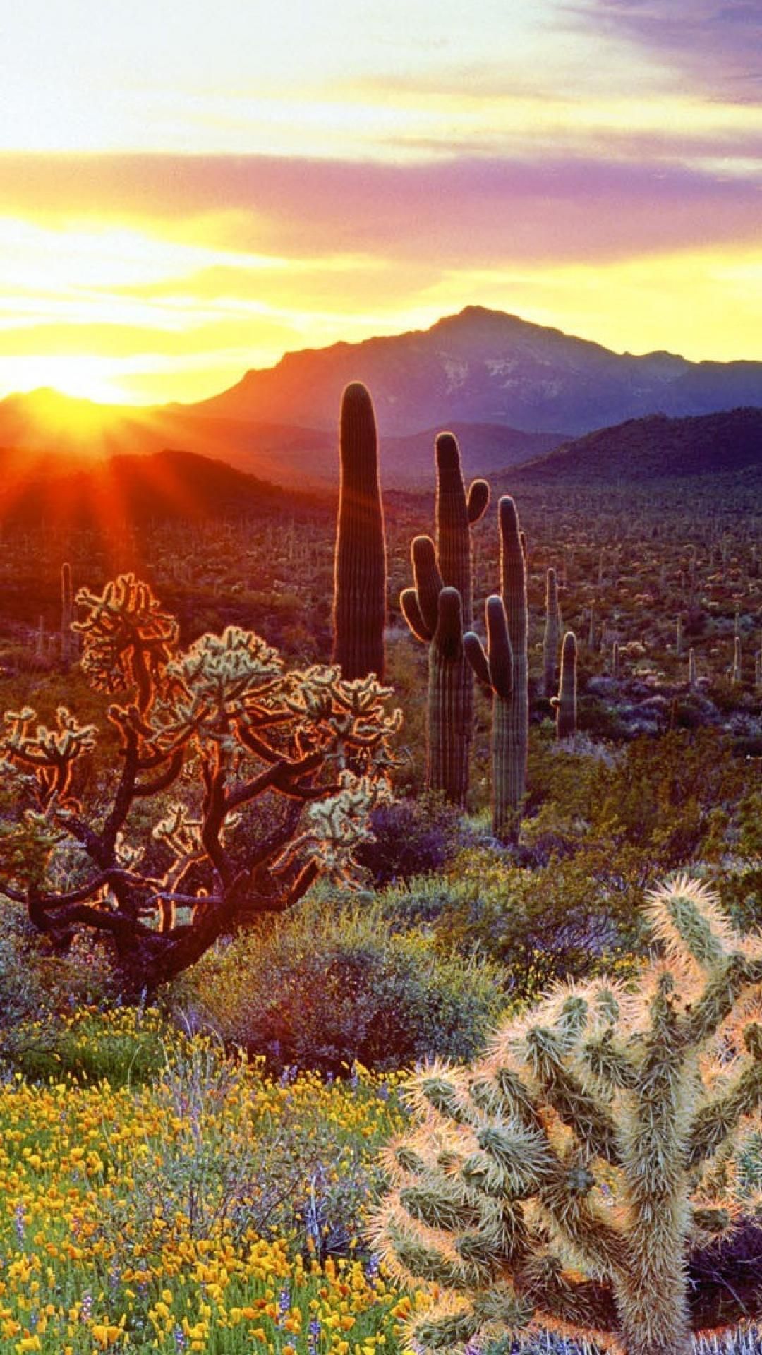 Arizona Desert Wallpapers - 4k, HD Arizona Desert Backgrounds on ... Arizona Desert Wallpapers - 4k, HD Arizona Desert Backgrounds on ...
