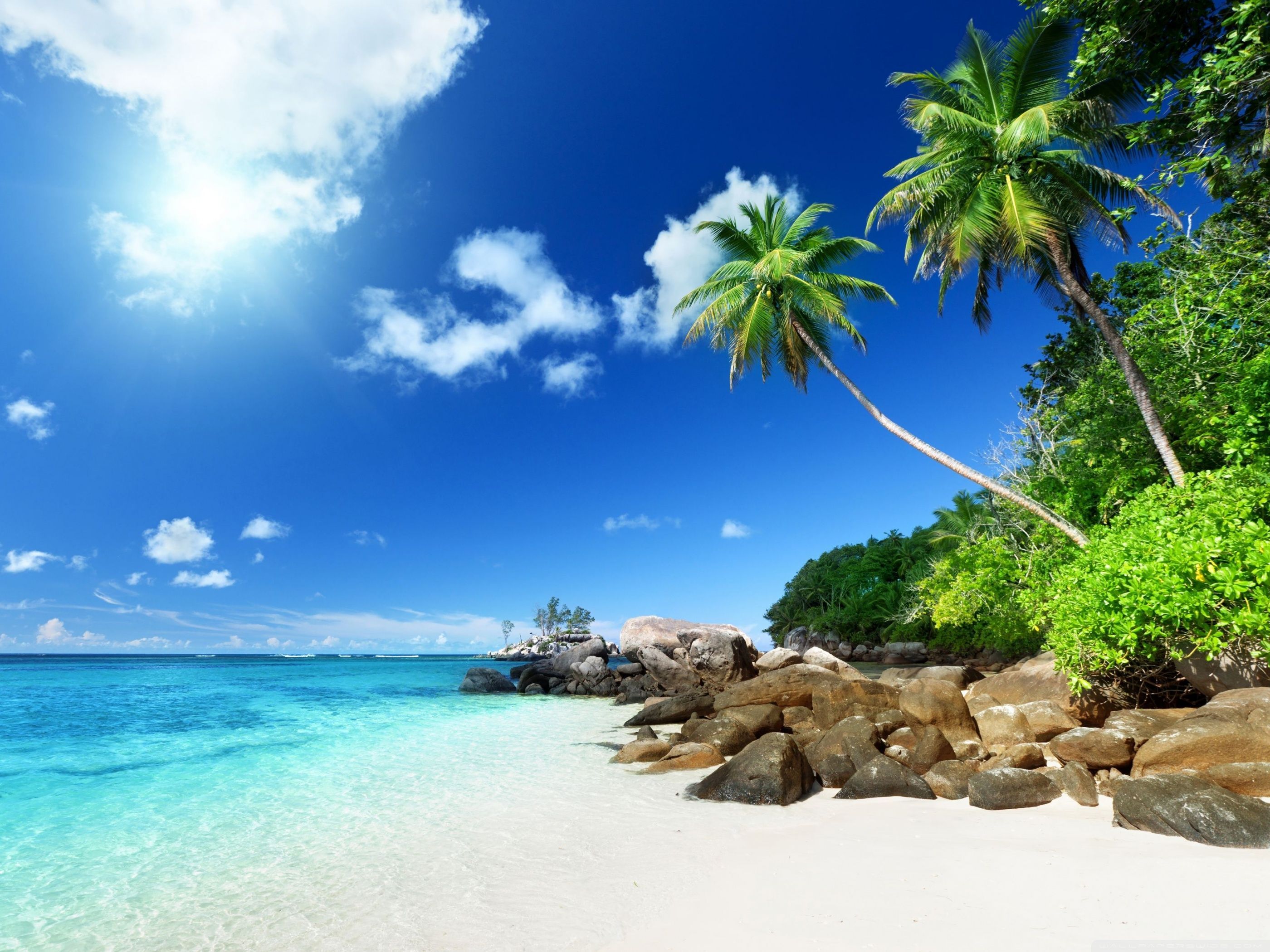 Beach Paradise Wallpapers - 4k, HD Beach Paradise Backgrounds on ... Beach Paradise Wallpapers - 4k, HD Beach Paradise Backgrounds on ...