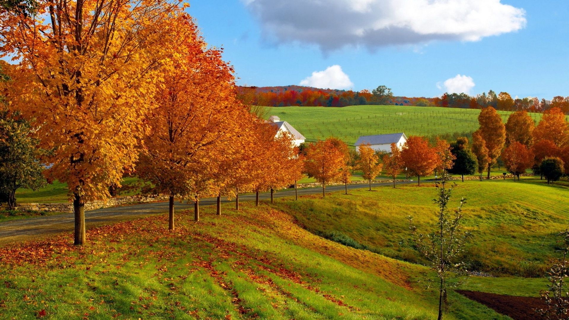 Autumn Landscape Wallpapers - 4k, HD Autumn Landscape Backgrounds on ... Autumn Landscape Wallpapers - 4k, HD Autumn Landscape Backgrounds on ...