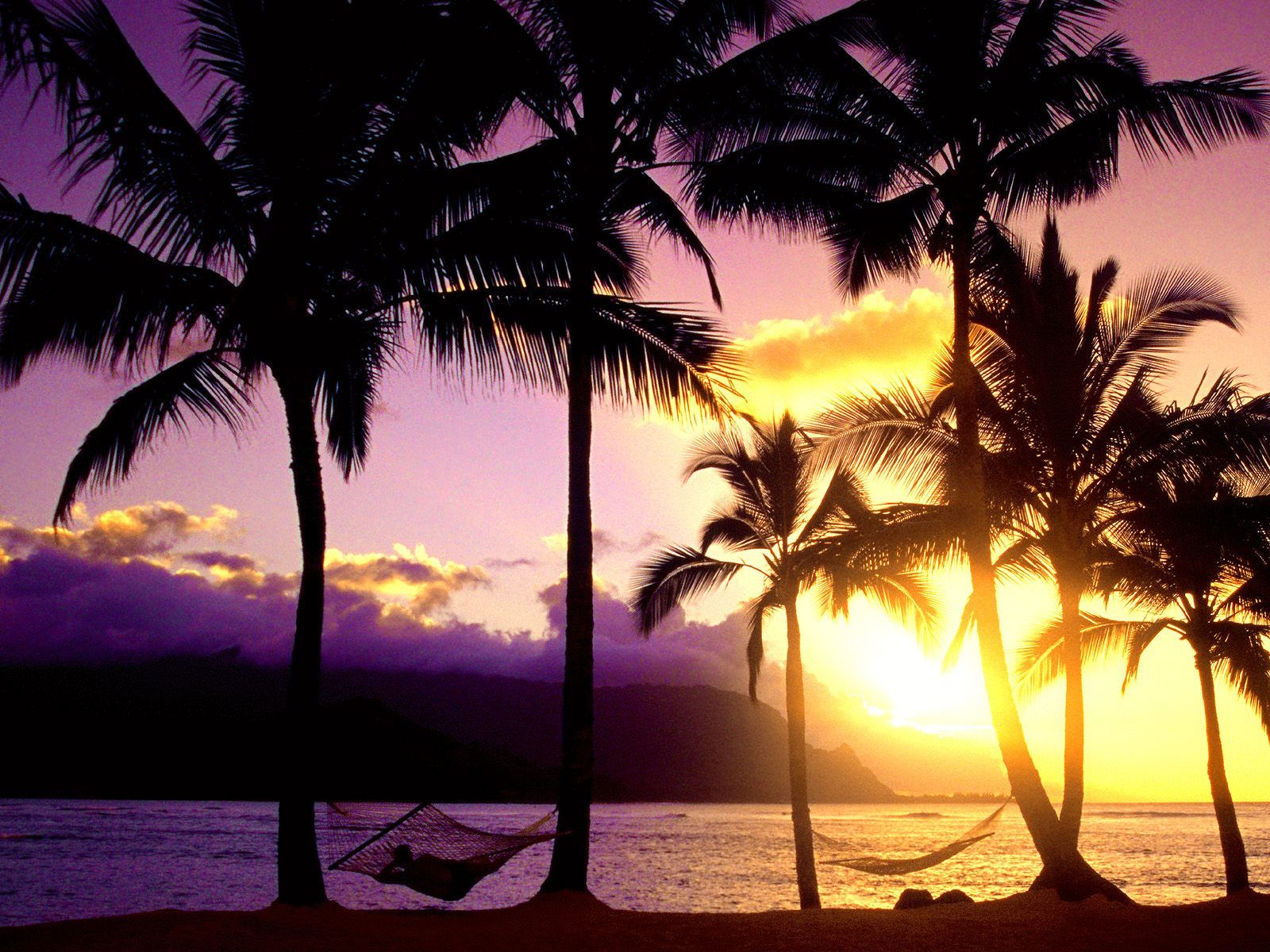 Tropical Sunset Wallpapers 4k Hd Tropical Sunset Backgrounds On