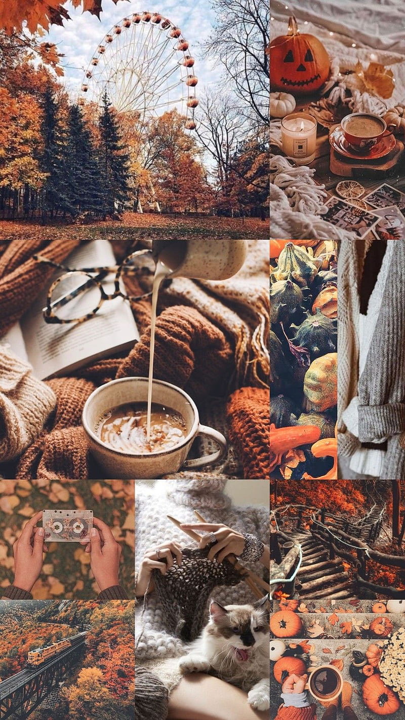 Autumn Collage Wallpapers - 4k, Hd Autumn Collage Backgrounds On
