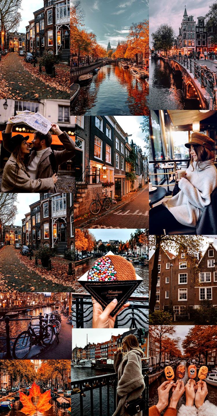 Autumn Collage Wallpapers - 4k, Hd Autumn Collage Backgrounds On 