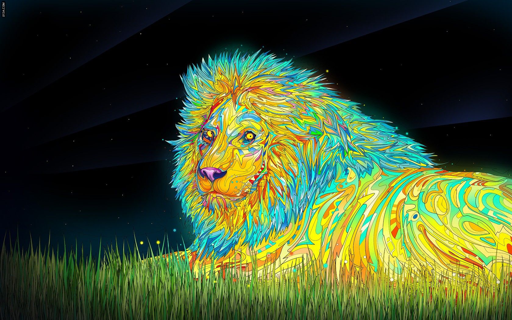 Colorful Animals Wallpapers - 4k, HD Colorful Animals Backgrounds on ... Colorful Animals Wallpapers - 4k, HD Colorful Animals Backgrounds on ...