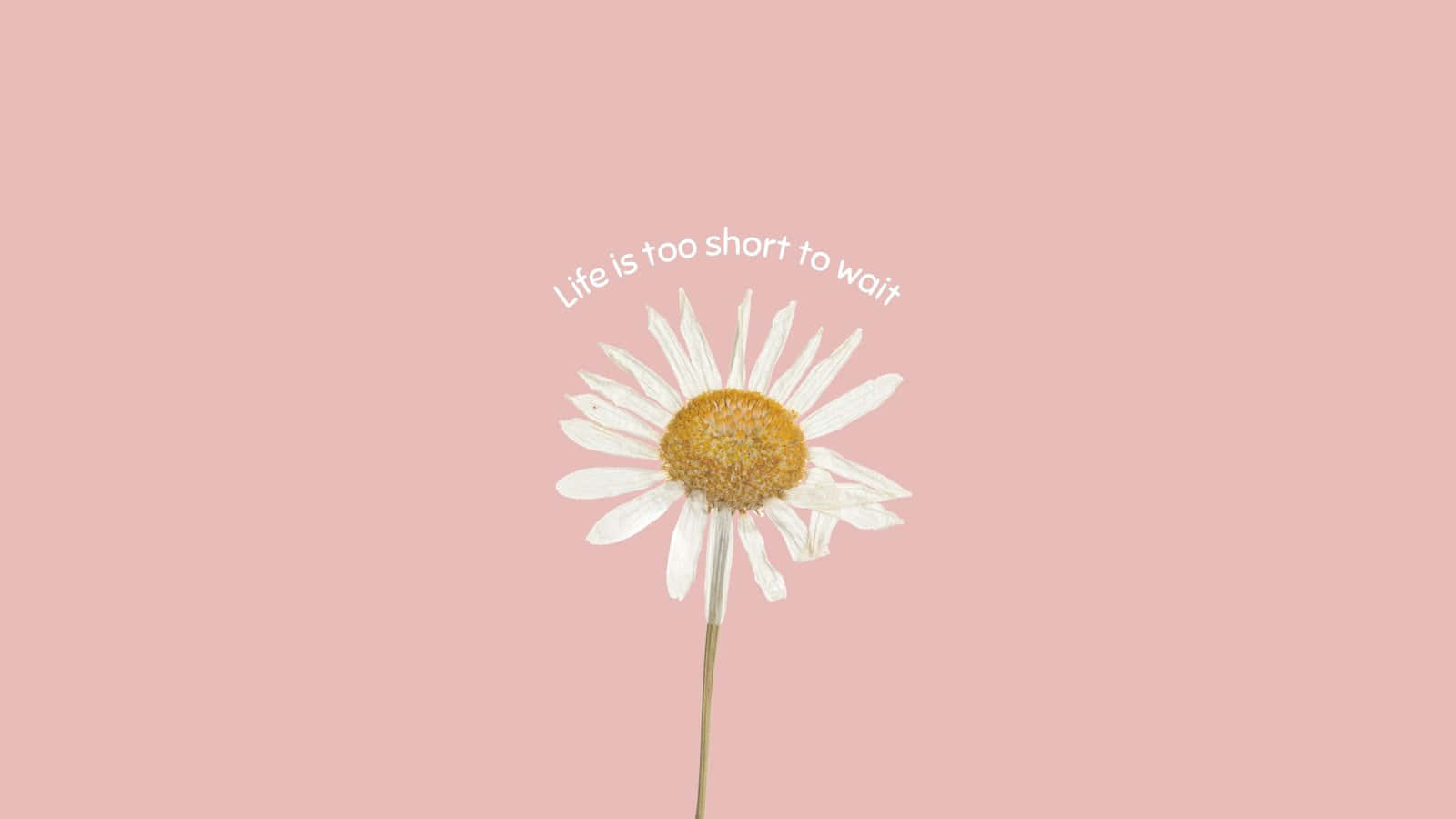 Girly Inspirational Wallpapers - 4k, HD Girly Inspirational Backgrounds ... Girly Inspirational Wallpapers - 4k, HD Girly Inspirational Backgrounds ...
