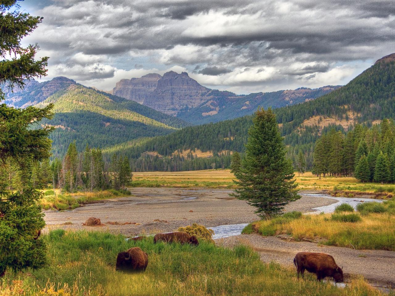 Yellowstone National Park Wallpapers - 4k, HD Yellowstone National Park ... Yellowstone National Park Wallpapers - 4k, HD Yellowstone National Park ...