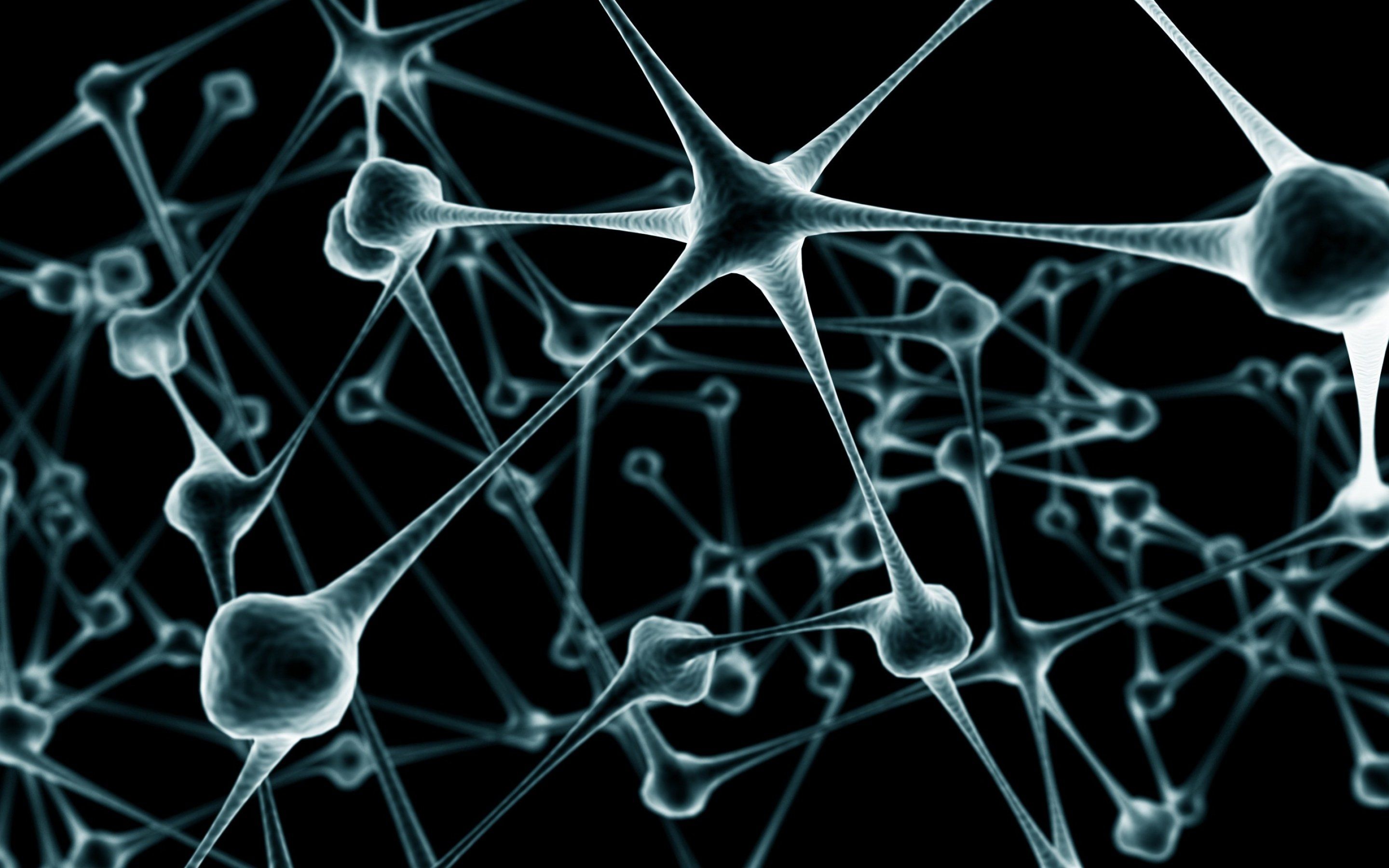 Neural Network Wallpapers 4k Hd Neural Network Backgrounds On Wallpaperbat 