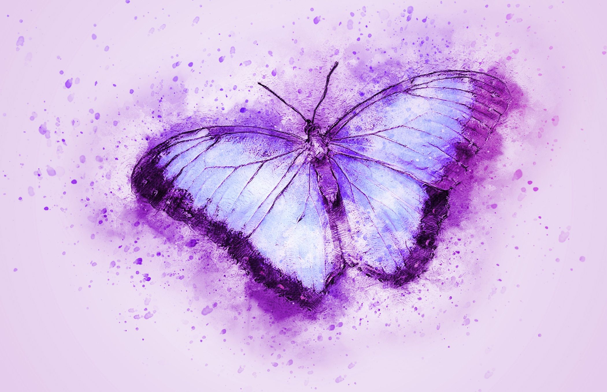Purple Watercolor Wallpapers - 4k, HD Purple Watercolor Backgrounds on ... Purple Watercolor Wallpapers - 4k, HD Purple Watercolor Backgrounds on ...