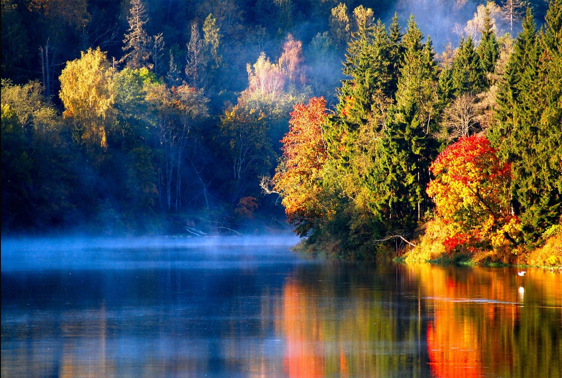 Lake Fall Nature Wallpapers - 4k, HD Lake Fall Nature Backgrounds on ... Lake Fall Nature Wallpapers - 4k, HD Lake Fall Nature Backgrounds on ...
