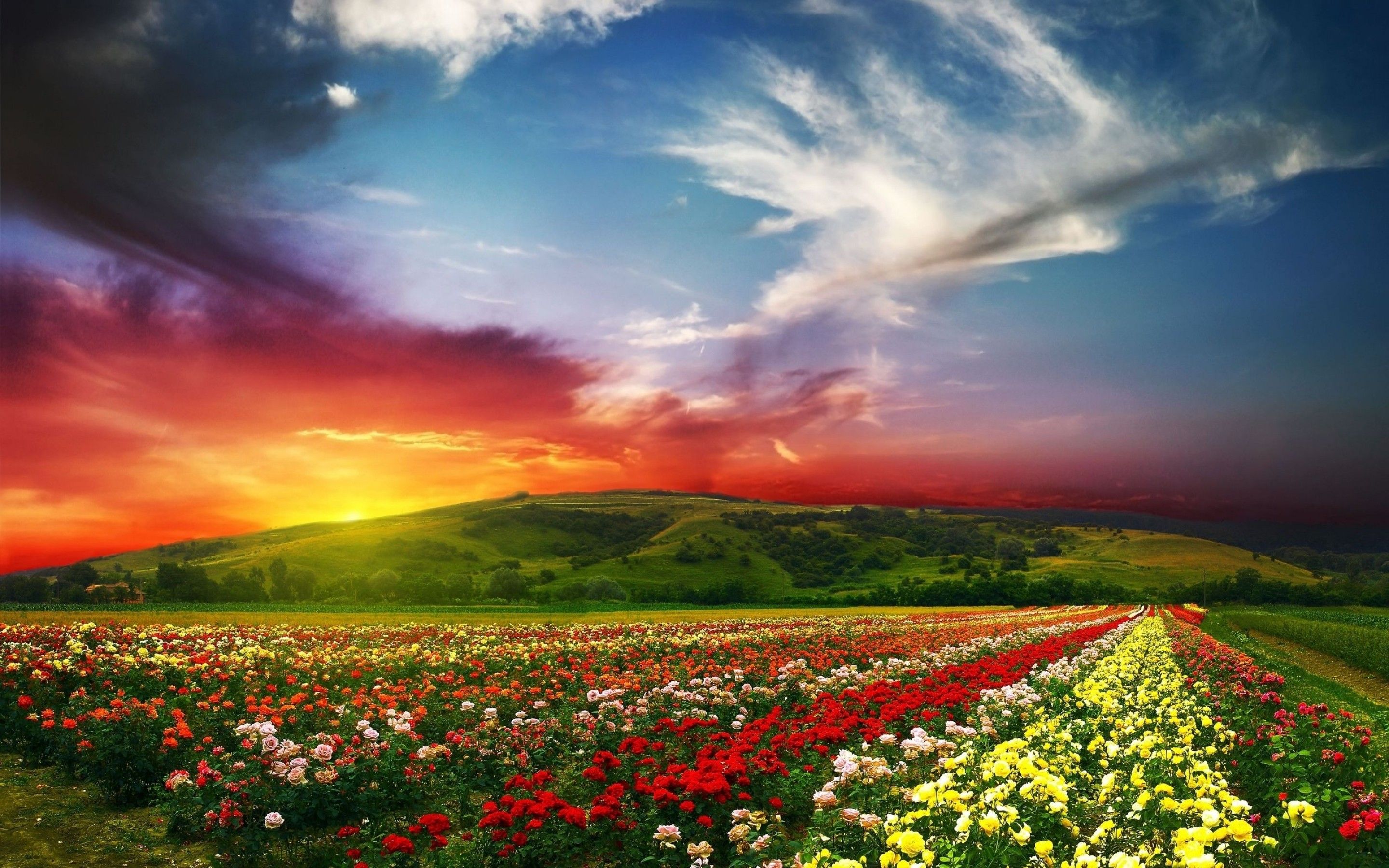 Spring Landscape Wallpapers - 4k, HD Spring Landscape Backgrounds on ... Spring Landscape Wallpapers - 4k, HD Spring Landscape Backgrounds on ...