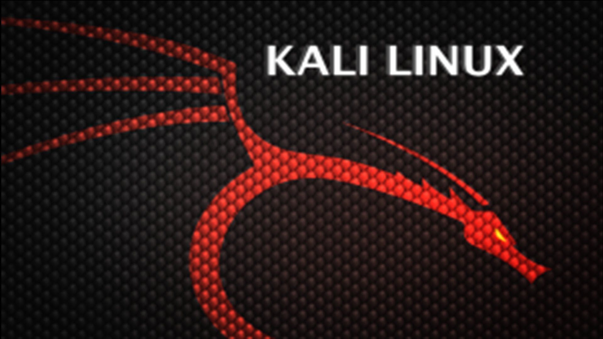 Kali Linux Wallpapers - 4k, HD Kali Linux Backgrounds on WallpaperBat Kali Linux Wallpapers - 4k, HD Kali Linux Backgrounds on WallpaperBat