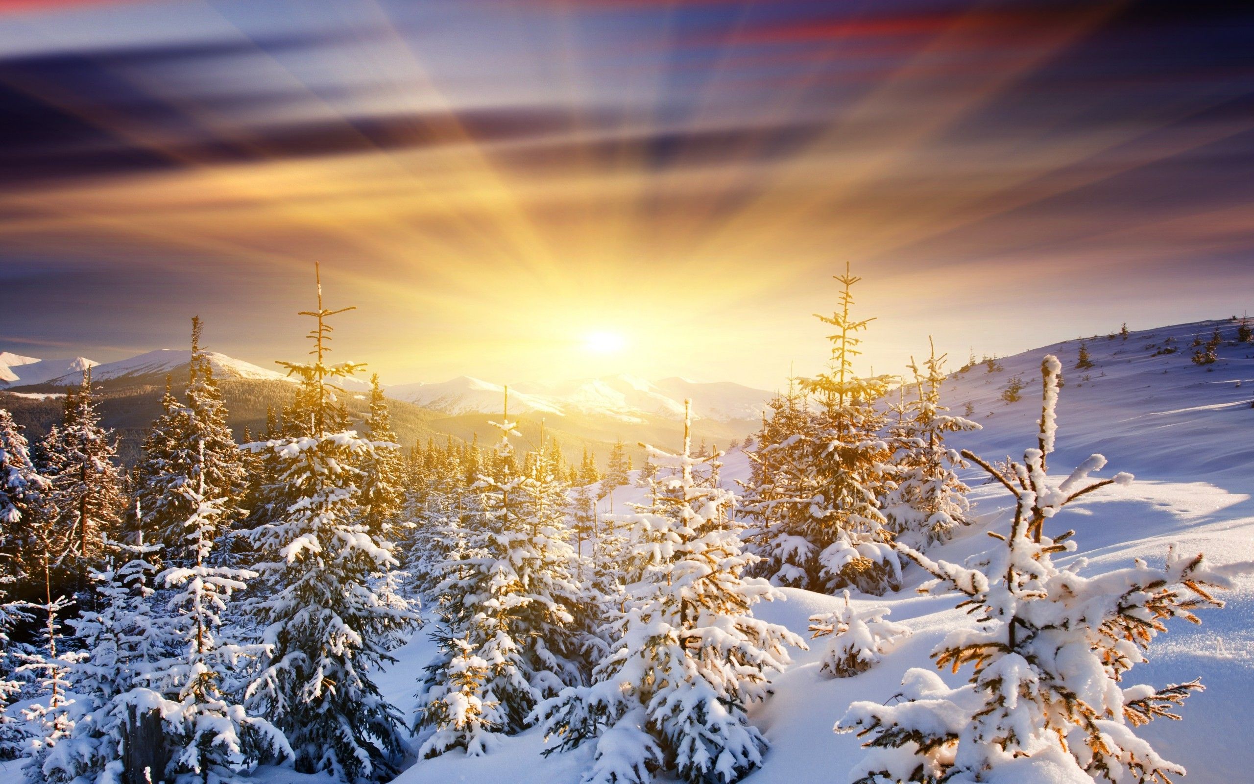 Snow Sunrise Wallpapers - 4k, HD Snow Sunrise Backgrounds on WallpaperBat Snow Sunrise Wallpapers - 4k, HD Snow Sunrise Backgrounds on WallpaperBat