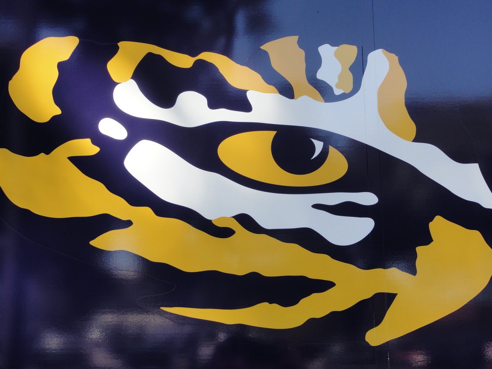 Lsu Tigers Wallpapers 4k Hd Lsu Tigers Backgrounds On Wallpaperbat