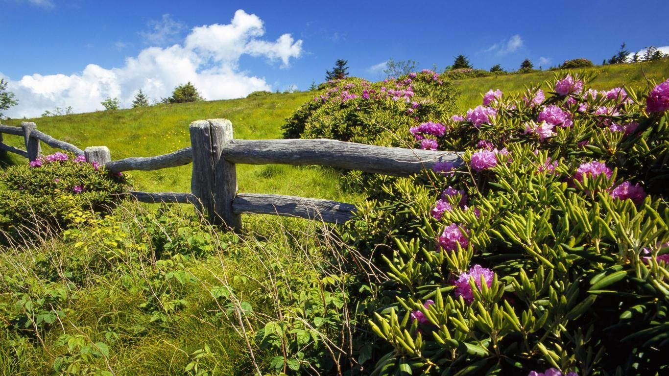Spring Landscape Wallpapers - 4k, HD Spring Landscape Backgrounds on ... Spring Landscape Wallpapers - 4k, HD Spring Landscape Backgrounds on ...