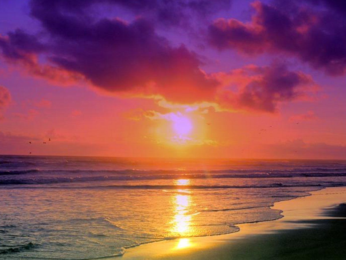 Florida Sunset Wallpapers 4k Hd Florida Sunset Backgrounds On