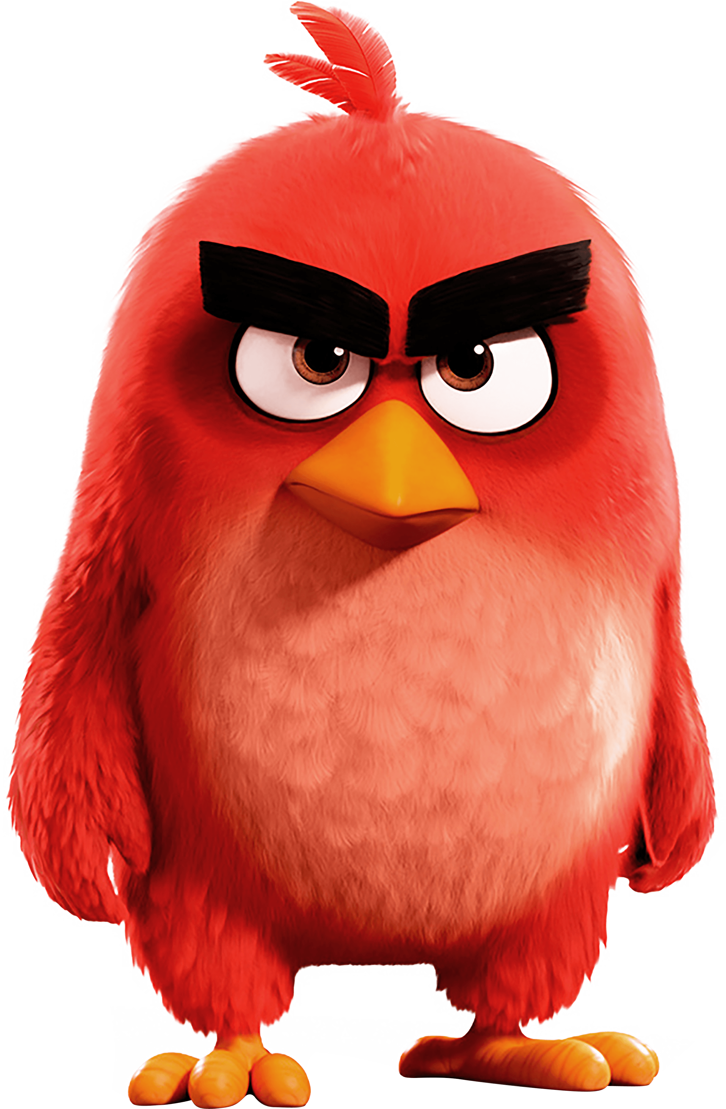Angry Birds Movie Red Art Wallpapers 4k HD Angry Birds Movie Red Art angry-birds-movie-red-art-wallpapers-4k-hd-angry-birds-movie-red-art