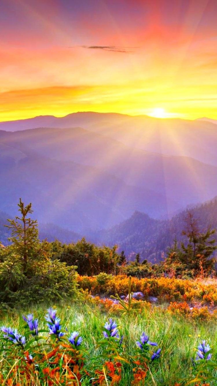 Beautiful Fall Sunrise Wallpapers - 4k, HD Beautiful Fall Sunrise ... Beautiful Fall Sunrise Wallpapers - 4k, HD Beautiful Fall Sunrise ...