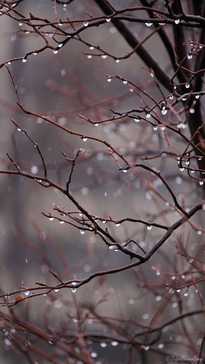 Winter Rain Wallpapers 4k Hd Winter Rain Backgrounds On Wallpaperbat