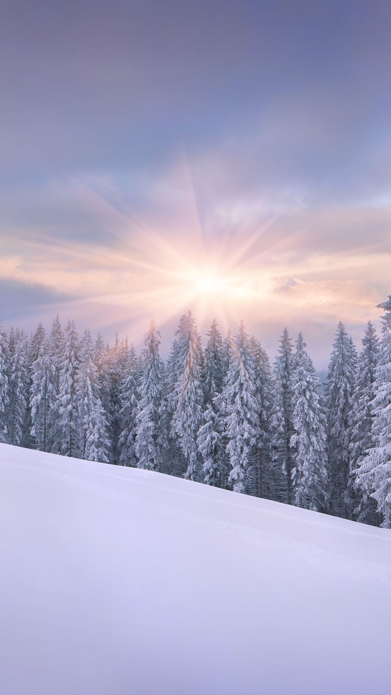 Snow Sunrise Wallpapers - 4k, HD Snow Sunrise Backgrounds on WallpaperBat Snow Sunrise Wallpapers - 4k, HD Snow Sunrise Backgrounds on WallpaperBat