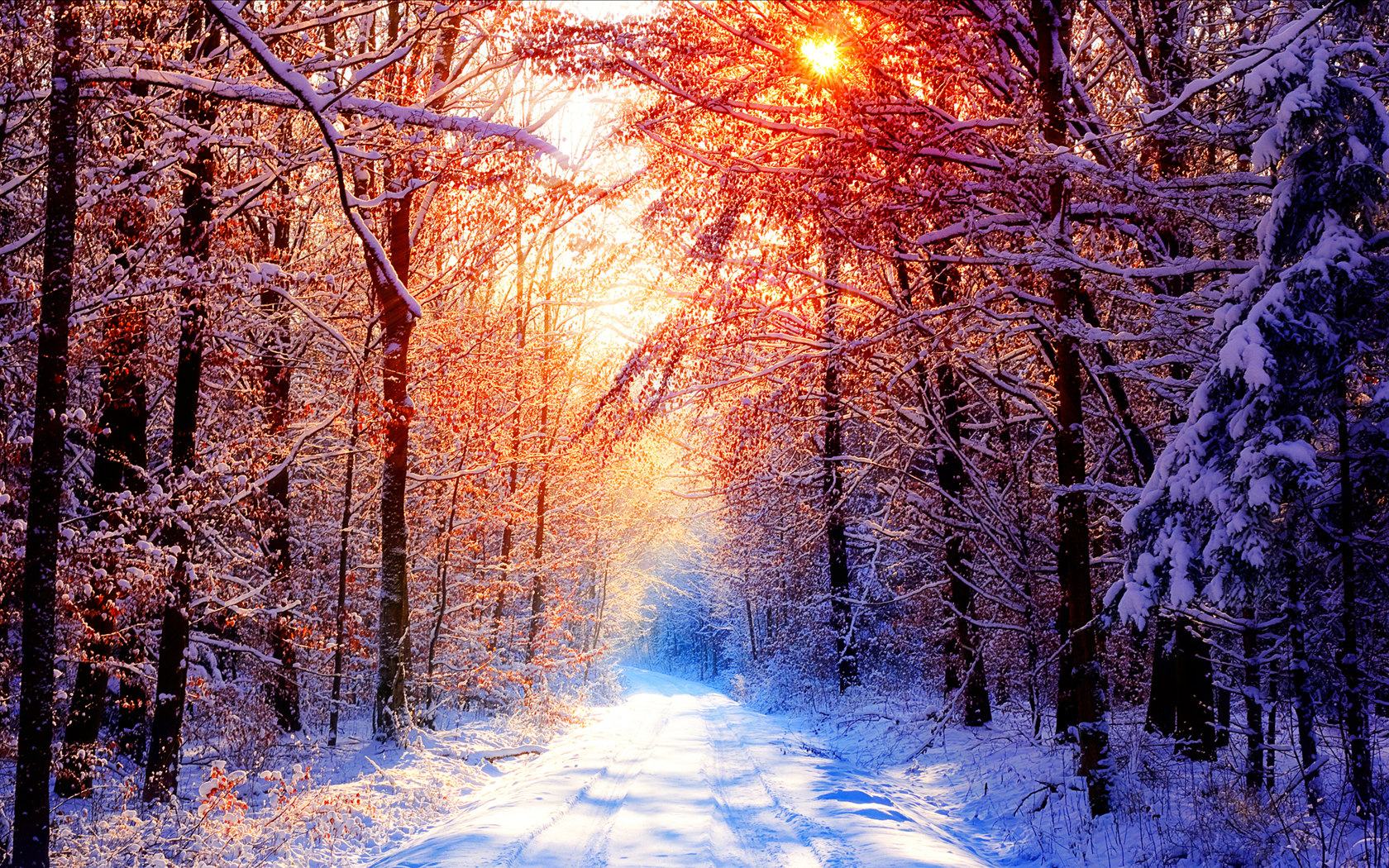 Snow Sunrise Wallpapers - 4k, HD Snow Sunrise Backgrounds on WallpaperBat Snow Sunrise Wallpapers - 4k, HD Snow Sunrise Backgrounds on WallpaperBat