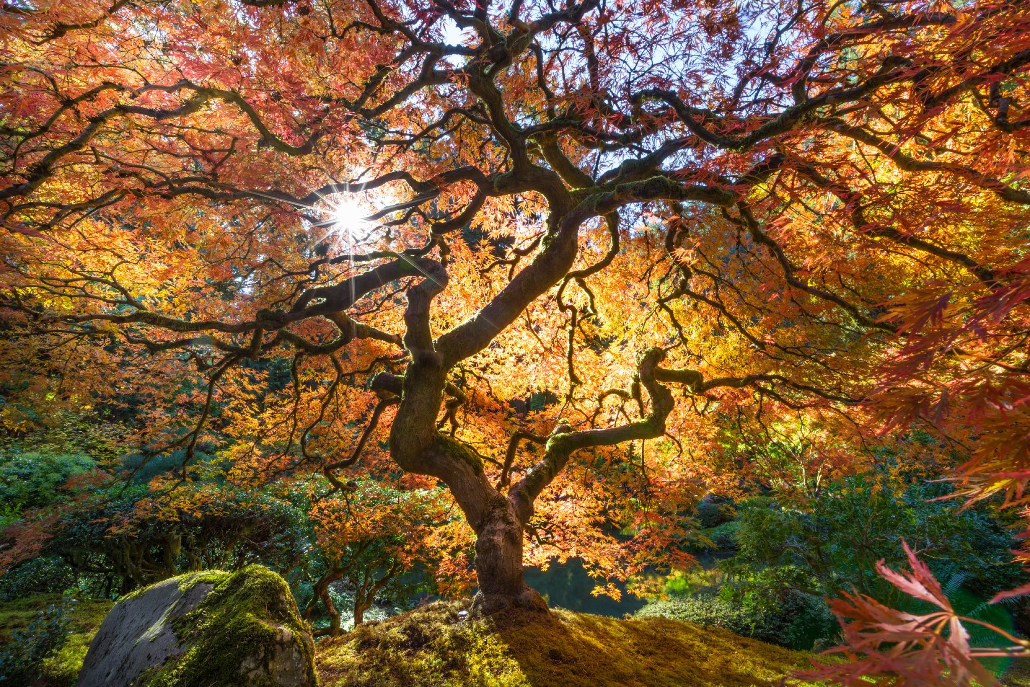 National Geographic Landscape Wallpapers - 4k, HD National Geographic ... National Geographic Landscape Wallpapers - 4k, HD National Geographic ...