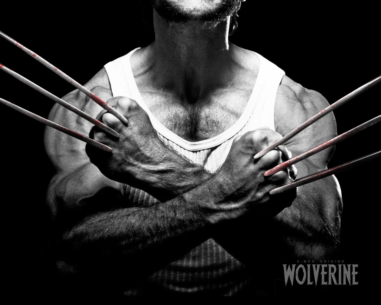 Wolverine Claws Wallpapers - 4k, HD Wolverine Claws Backgrounds on ... Wolverine Claws Wallpapers - 4k, HD Wolverine Claws Backgrounds on ...