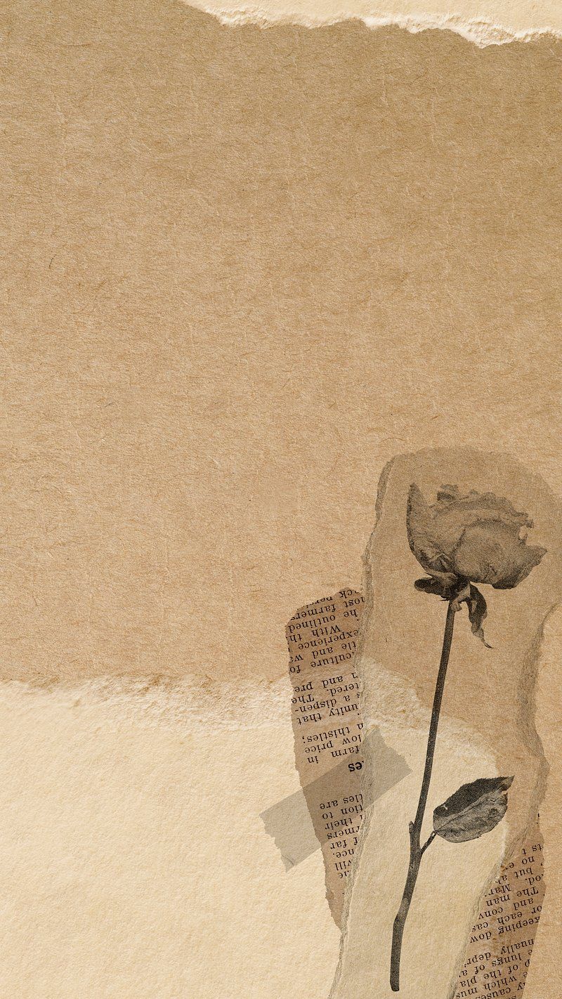 Brown Vintage Wallpapers - 4k, HD Brown Vintage Backgrounds on WallpaperBat Brown Vintage Wallpapers - 4k, HD Brown Vintage Backgrounds on WallpaperBat