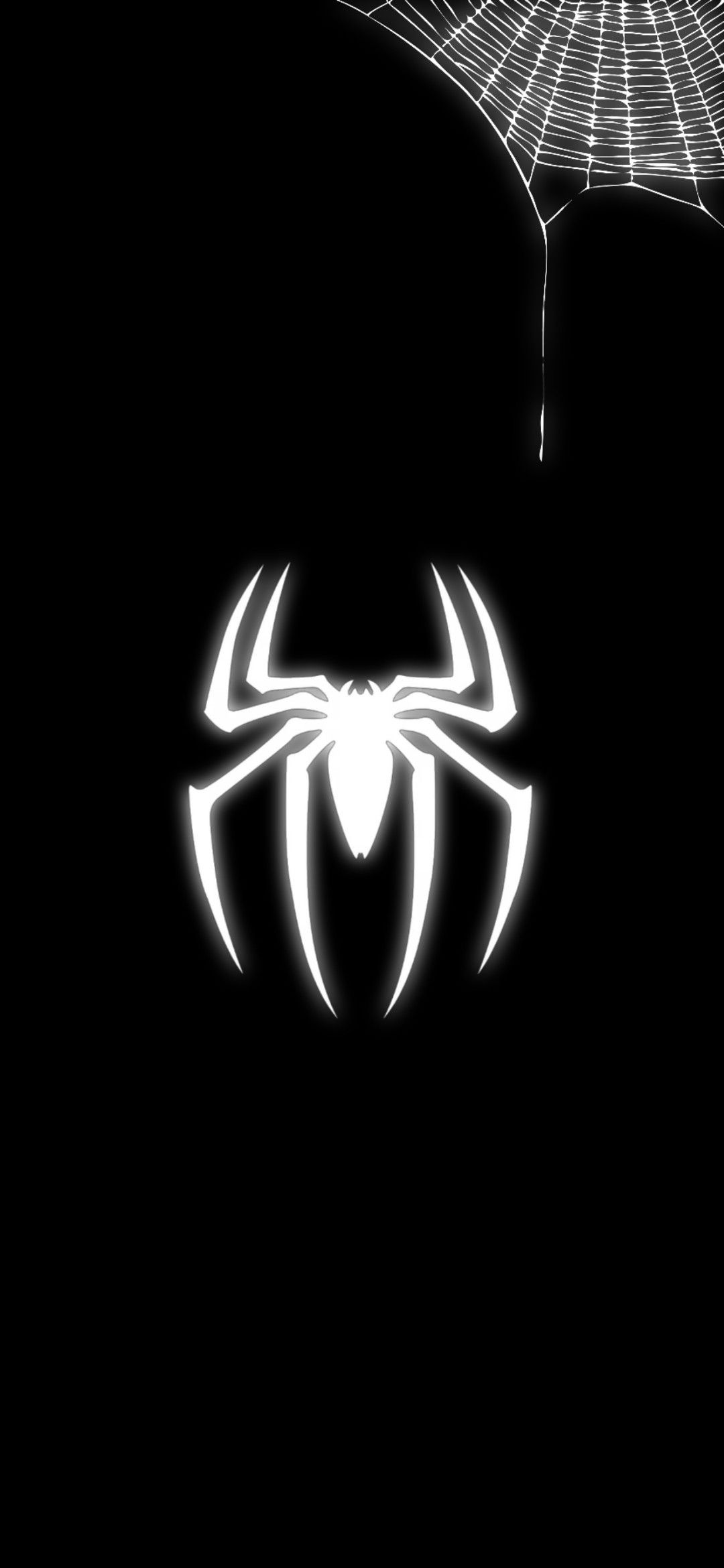 Black Spider Wallpapers - 4k, HD Black Spider Backgrounds on WallpaperBat Black Spider Wallpapers - 4k, HD Black Spider Backgrounds on WallpaperBat