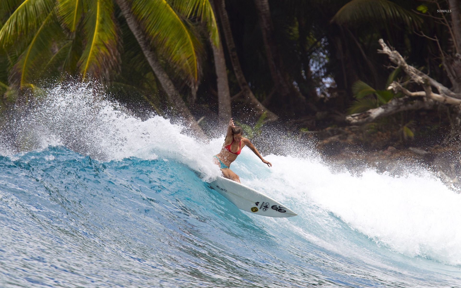 Female Surfing Wallpapers 4k Hd Female Surfing Backgrounds On Wallpaperbat