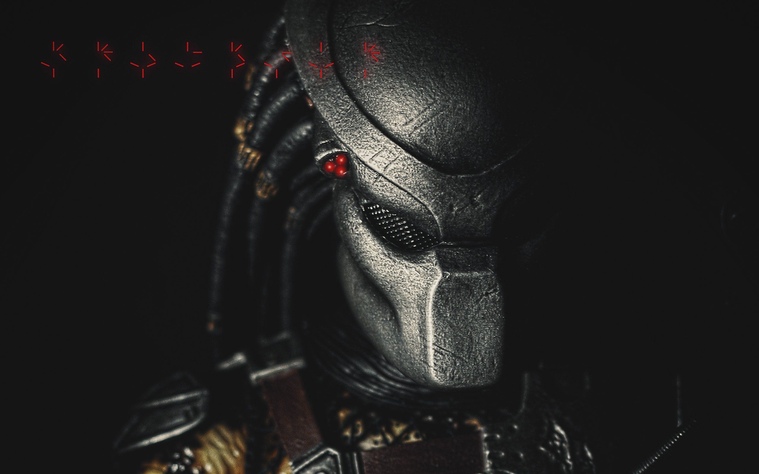 Predator Wallpapers - 4k, HD Predator Backgrounds on WallpaperBat Predator Wallpapers - 4k, HD Predator Backgrounds on WallpaperBat